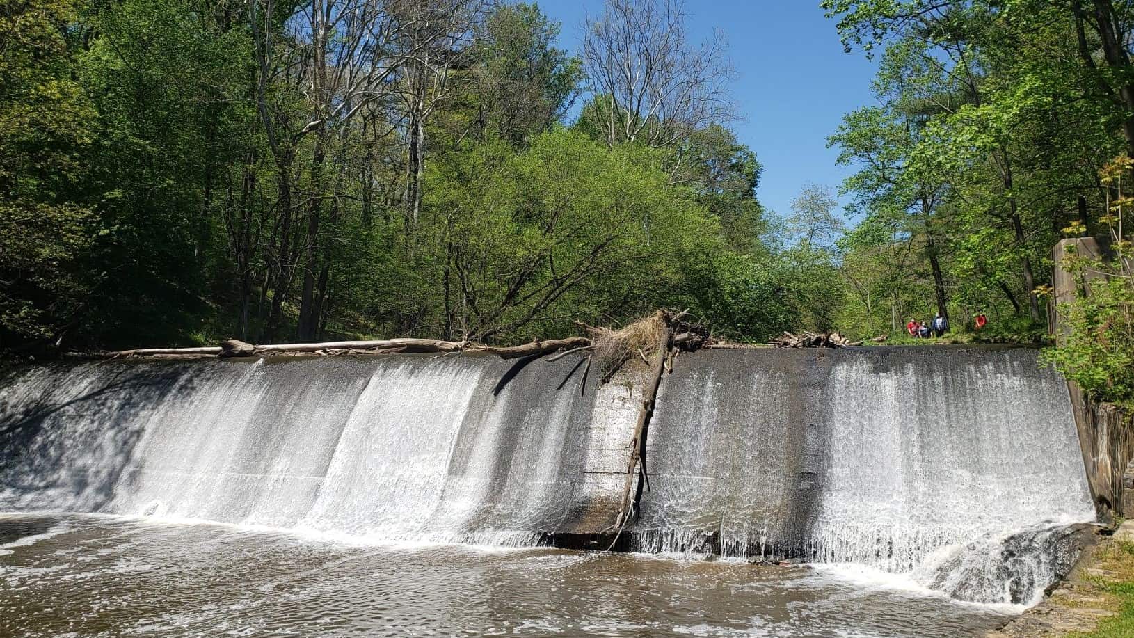 Hike, Water Play & Dog-Friendly Fun at Rachel Carson Greenway Trail ...